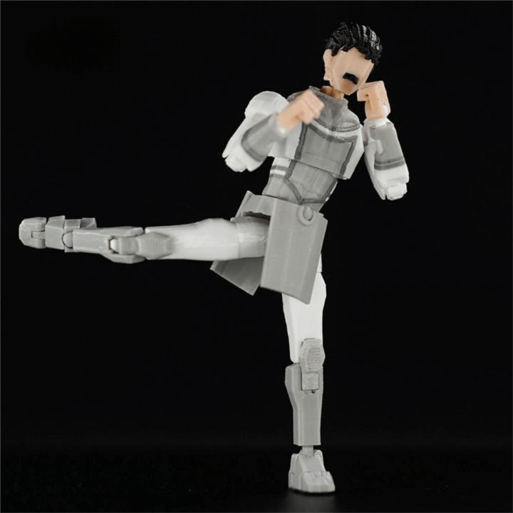 YYLINGX Dummy13 3D Printed Action Figures Multi-Jointed Shapeshift ...