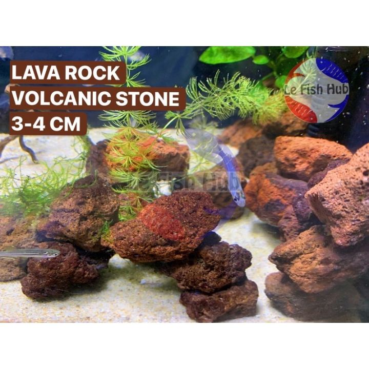 LAVA ROCK VOLCANIC STONE FILTER MEDIA 900G FOR AQUARIUM, GARDENING ...