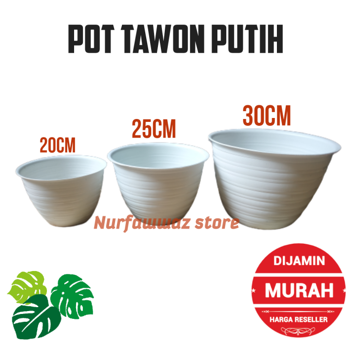 Pot tawon putih ukuran 20 25 dan 30 cm / pot tawon putih murah / pot ...