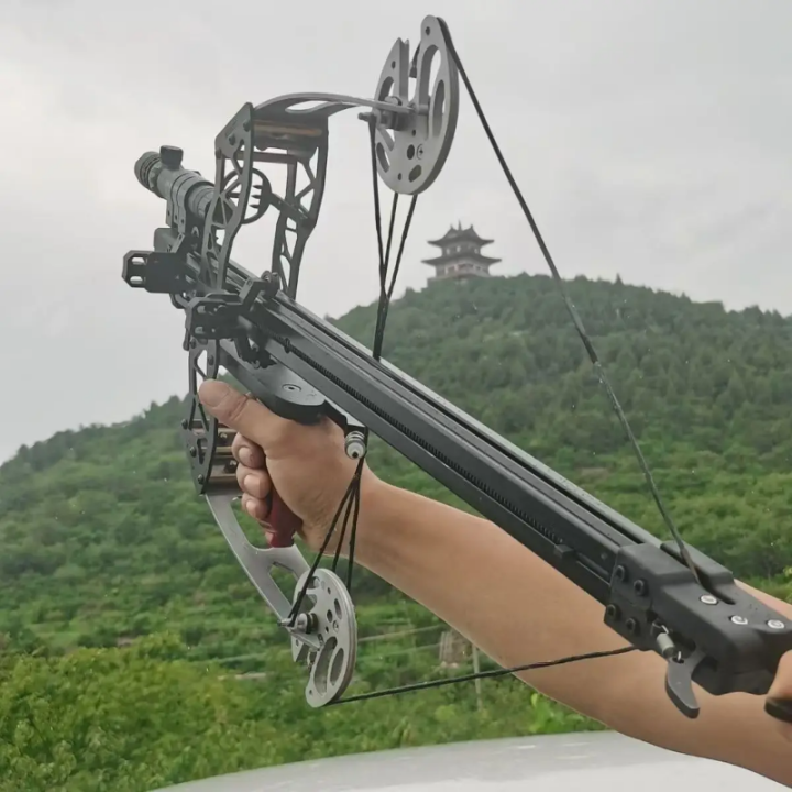 Dual Purpose compound bow and arrow with high precision recurve ...