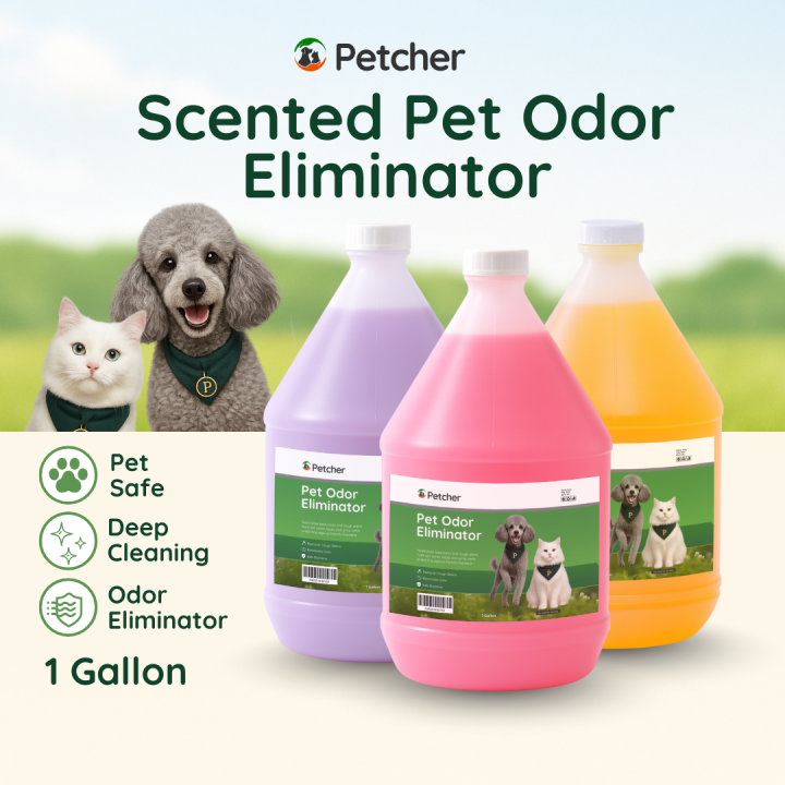 Petcher Pet Odor Eliminator 1G Enzyme Disinfectant – Poop and Pee ...