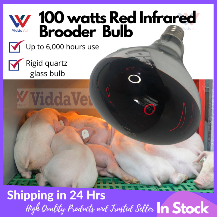 100W Pig farm roasted red infrared replacement light bulb Infrared ...