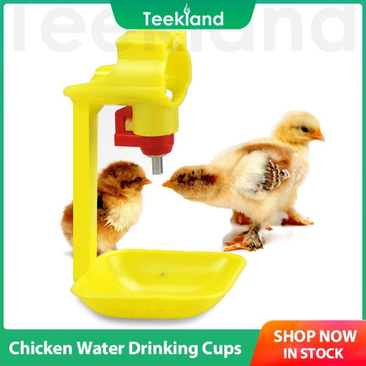 Teekland Poultry Waterer Chicken Watering System Automatic Plastic ...