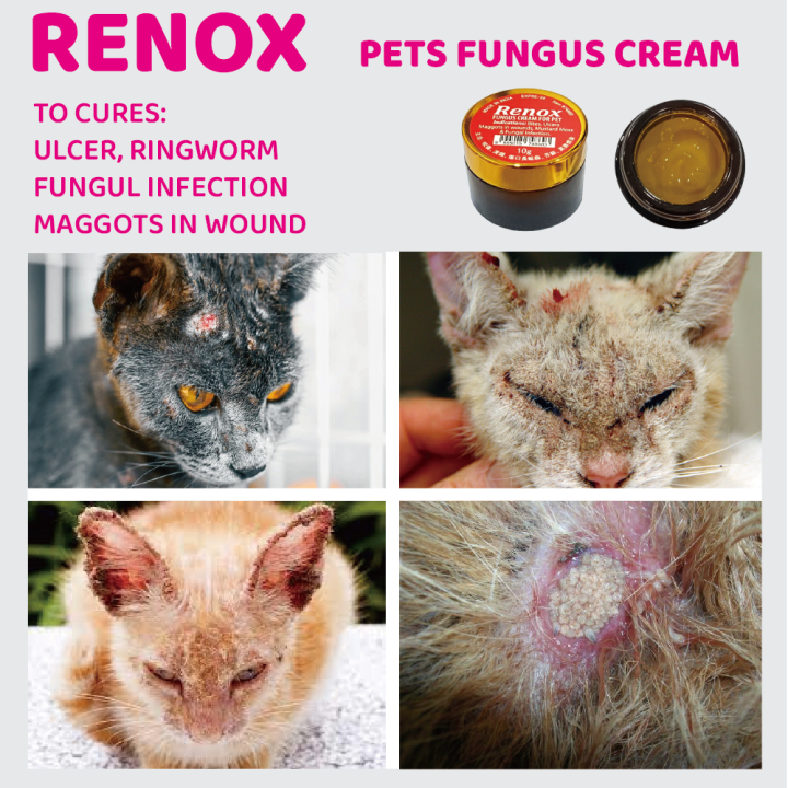 RENOX Pet's Fungus Mange Cream | Pet Krim Kurap Fungus Gatal Ruam 保證7 ...