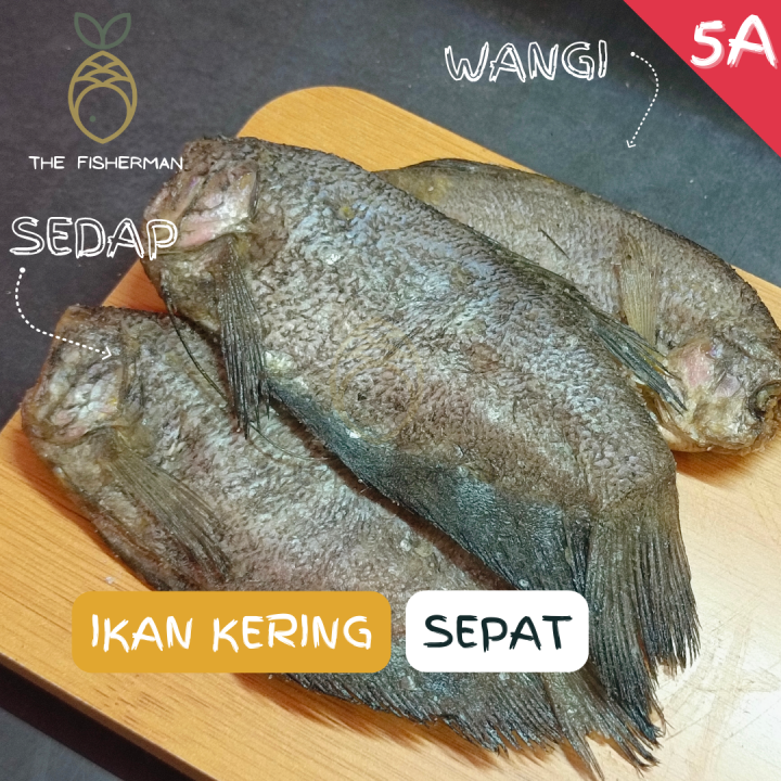 Ikan Masin Sepat 5A (250G/500G/1KG) 上等舍巴咸鱼 -The Fisherman | Lazada