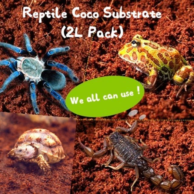 Reptile Coco Peat Coco Soil substrate 2.5L Pack Plantation Soil bedding ...