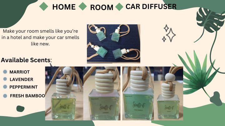 Hanging Diffuser Car Care and Odor Eliminator 10ml | Lazada PH