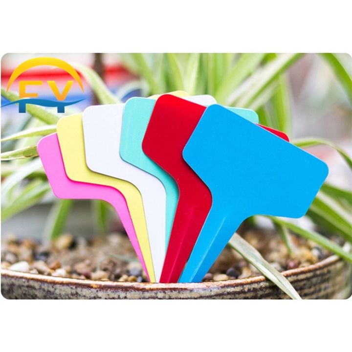 FY T-Type Succulents Label Card Multicolor Tags Garden Markers Tag ...