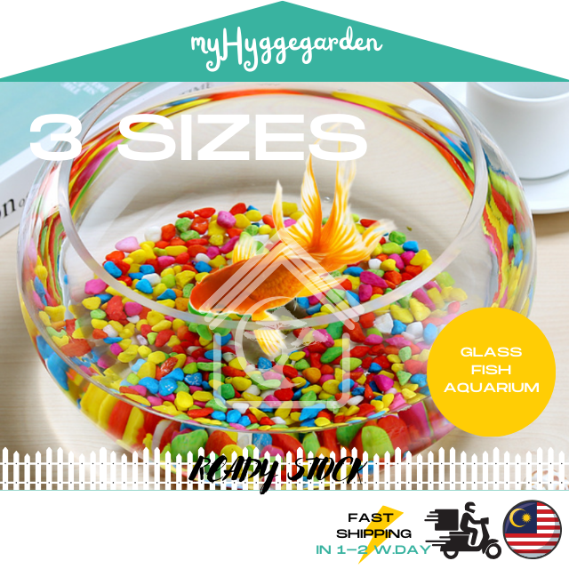 [GLASS] Transparent Oval Shape Clear Glass Fish Bowl Aquarium Home ...