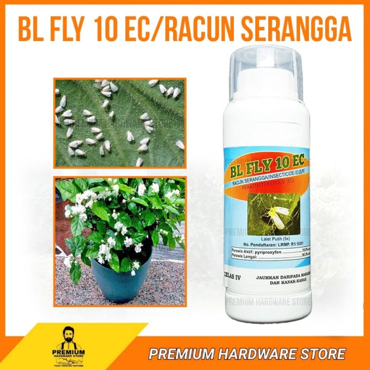 RACUN SERANGGA BL FLY 10EC 500ML | Lazada