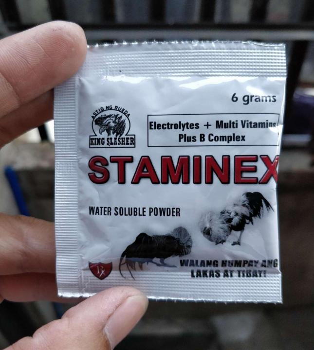 STAMINEX (ELECTROLYTES + MULTIVITAMINS + VIT B-COMPLEX) 6grams | Lazada PH