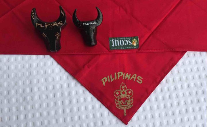 Senior Scarf Red Official Neckerchief for Scout / Slide | Lazada PH