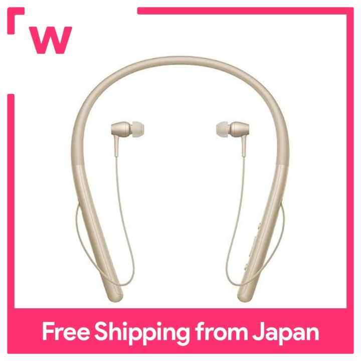 Sony H700 Hi-Res Wireless In-Ear Headphones (International Edition ...