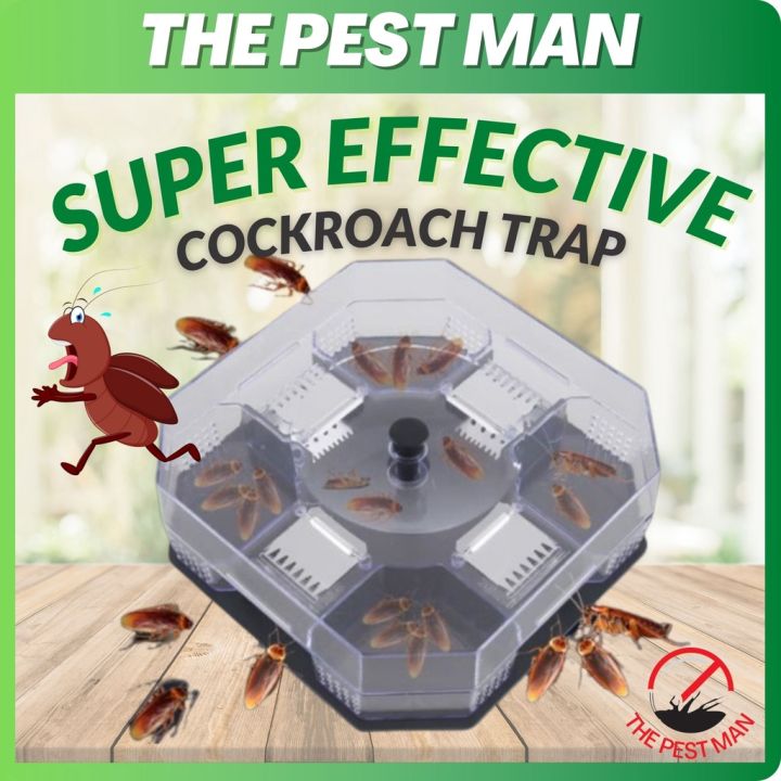 Reusable Cockroach Trap Box | Non Toxic Insert Trap | Cockroach Trap ...
