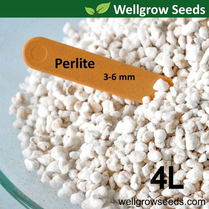 Perlite (3-6mm) (For Cactus & Succulents/Natural Expanded Volcanic ...