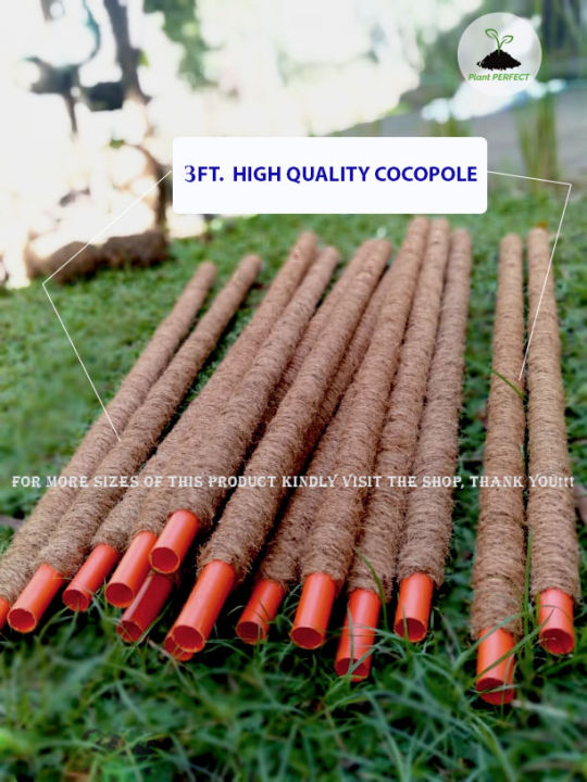 PVC TYPE 3FT COCOPOLE | 3ft Best Hand made Coco Pole| Plant Support ...
