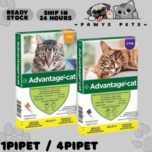 Bayer Advantage Cat Spot On - (S [0.4ml x 1 Pipet & 4 Pipet] / M [0.8ml ...