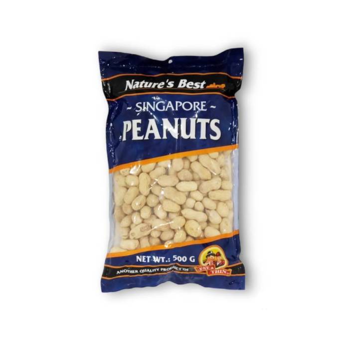 Fat & Thin Singapore Peanuts (500g) | Lazada PH