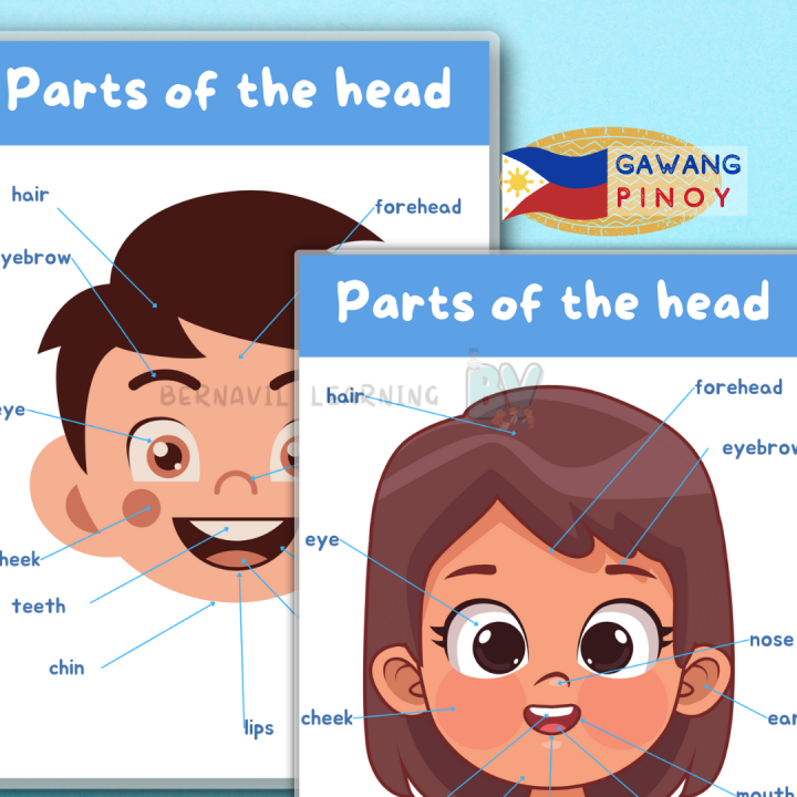 Parts of the Head Chart| Laminated Educational Chart | Lazada PH