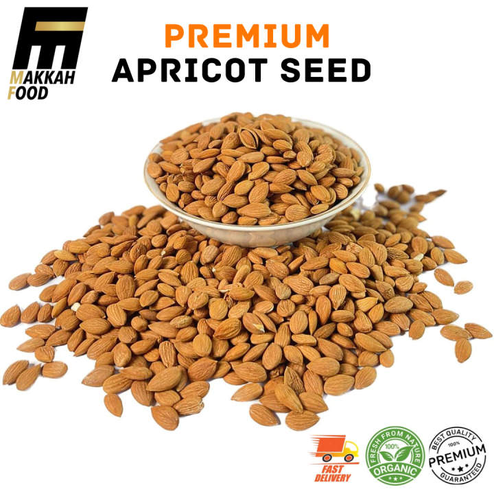 Apricot seeds /biji aprikot -1kg,500g,250g | Lazada