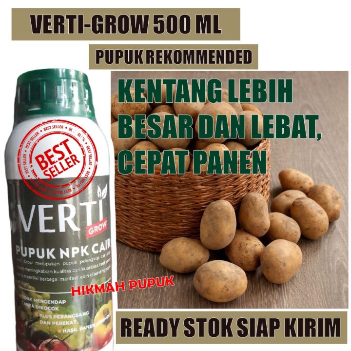 NEW VERTI GROW Melebatkan Kentang Besar Maksimal - Obat Perangsang Pertumbuhan Kentang Berbuah ...