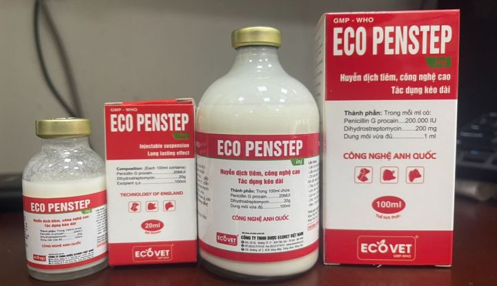ECO PENSTEP inj tác dụng 72h. Pentep an toàn, hoạt phổ rộng dùng trên ...