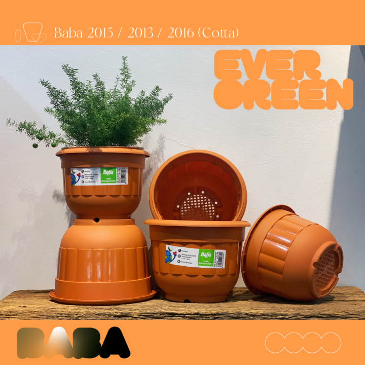 【Baba 2015 / 2013 / 2016】Classic Round Pot 经典圆盆 - 100% Biodegradable ...