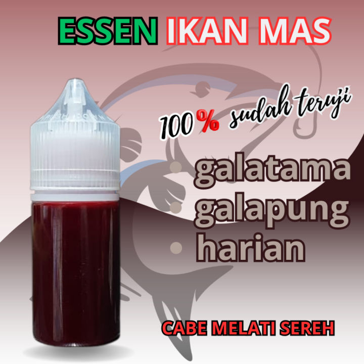 Essen ikan mas premium paling bagus untuk lomba galatama galapung dan ...