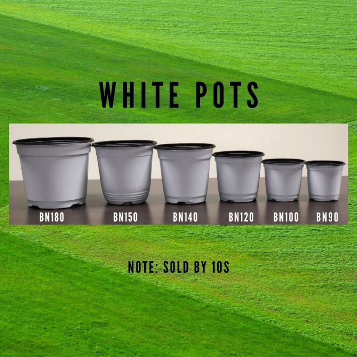 Colorful WHITE Soft Plastic Pots 10pcs/pack | Lazada PH
