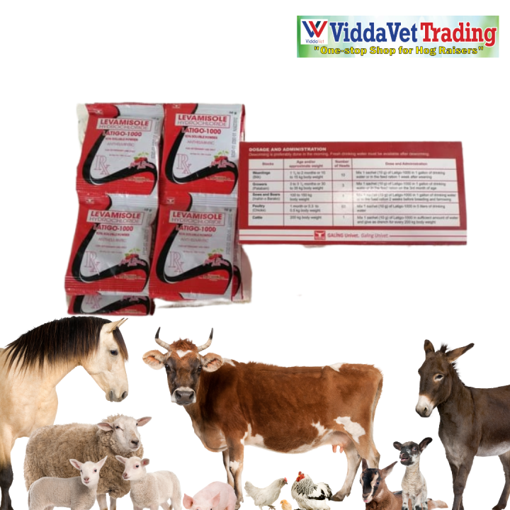 10g Latigo 1000 10% Soluble Powder Anthelmintic/ dewormer for swine and ...