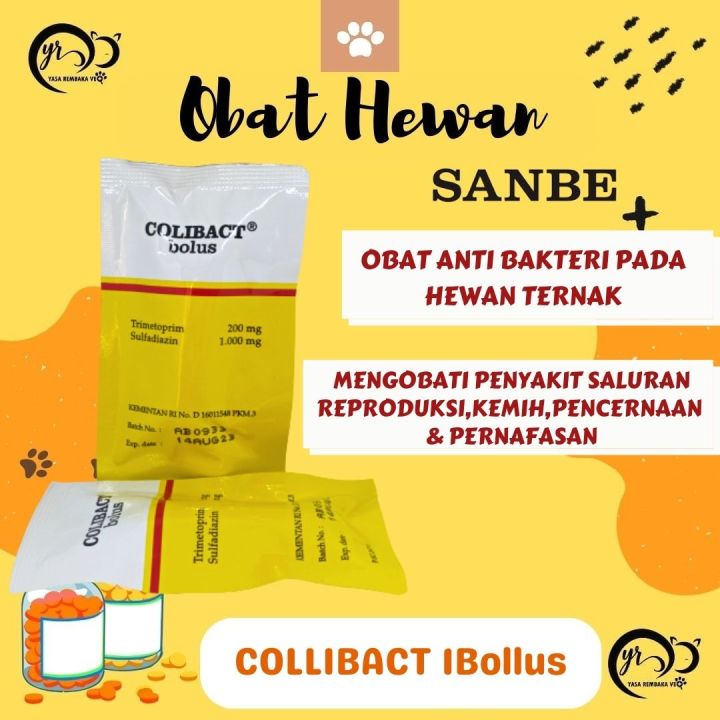 COLIBACT 1 Box (12 Bolus) & 1 Bollus - Obat Antibiotik Hewan Untuk ...