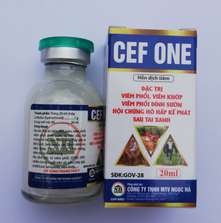 1 lọ CEP ONE 20ml Chuyên dùng cho viêm phổi, viêm khớp, viêm phổi dính ...