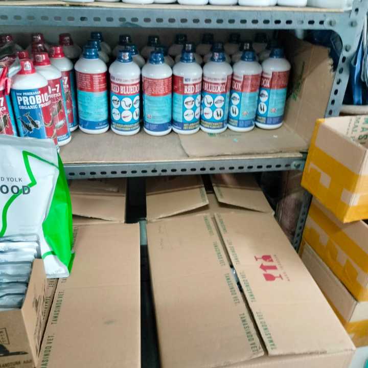 PAKET RED BLUEDOX 1000 ML 20 PCS | Lazada Indonesia