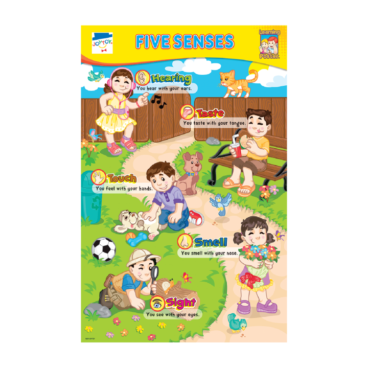 JOYTOY Five Senses Educational Poster | Lazada PH