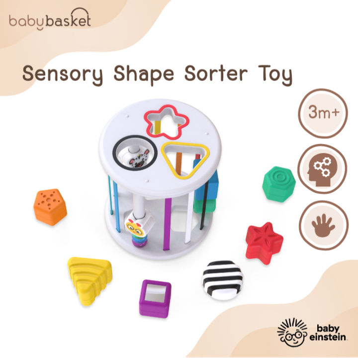 Baby Einstein Sensory Shape Sorter Toy | Lazada.co.th