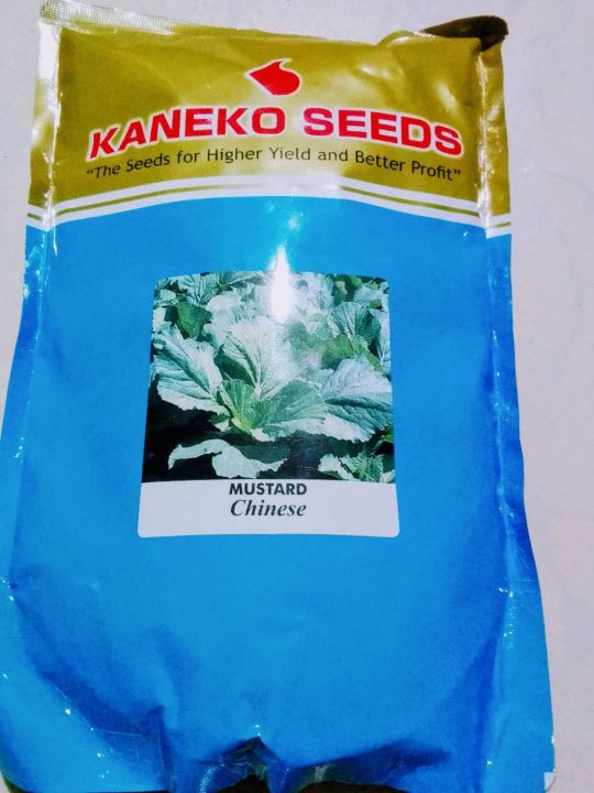 MUSTARD CHINESE MUSTASA SEEDS (KILO) BY KANEKO | Lazada PH