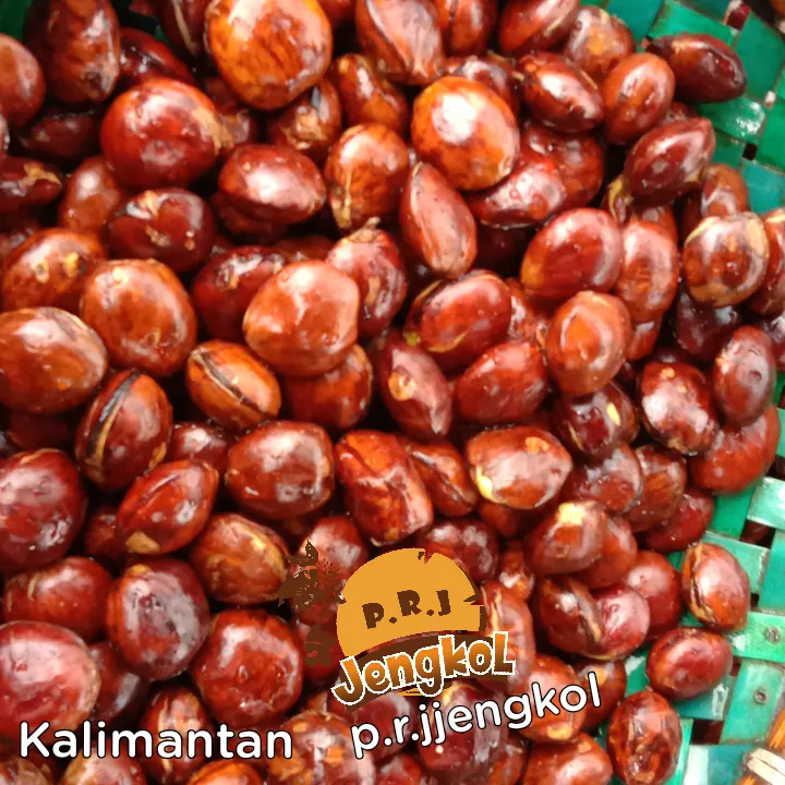 Jengkol/Jering 1 Kg- Kalimantan, Mentah Super Tua Besar Besar COD Semur ...