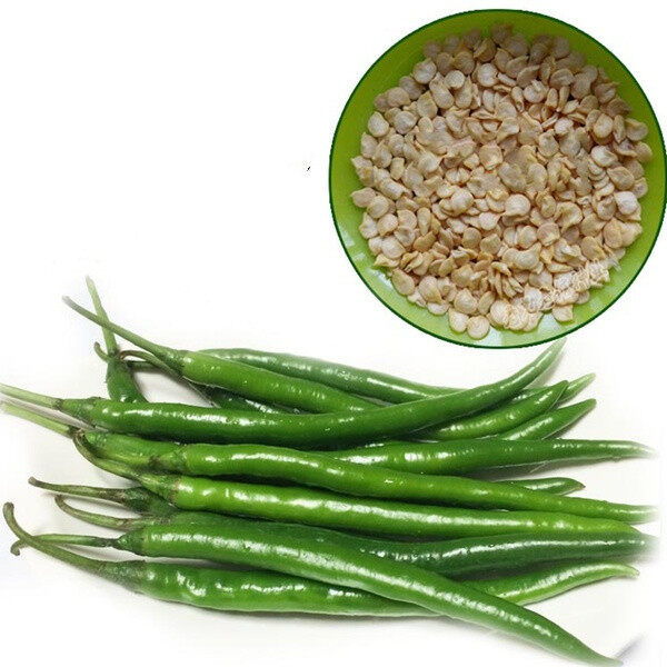 20Pcs Green Long Chilli Seeds Organic Vegetable Long Hot Pepper Seeds ...