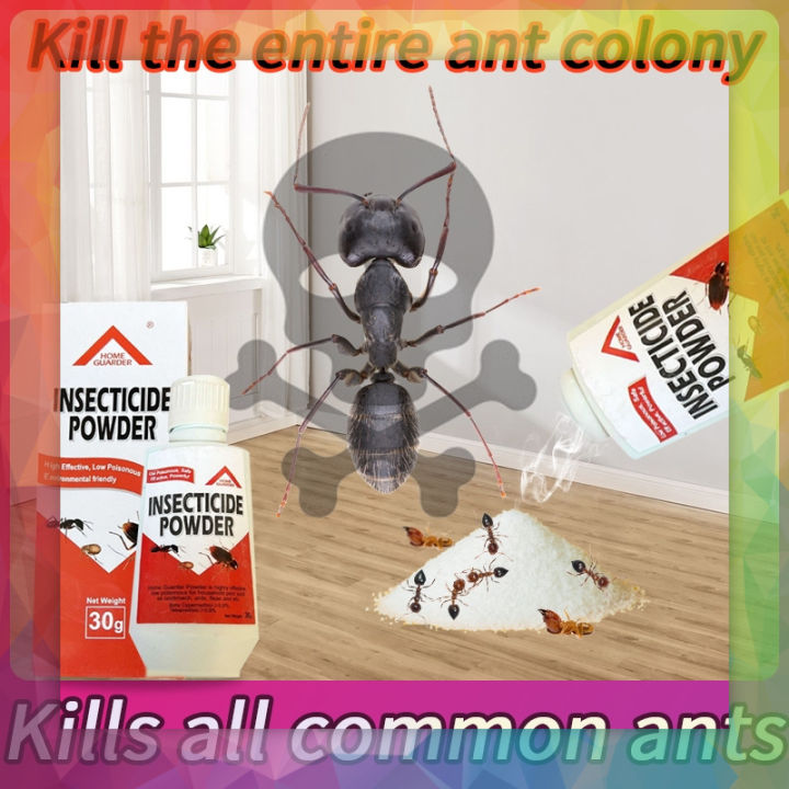 No ants for 10 years ant killer powder 30g ant powder killer | Lazada PH