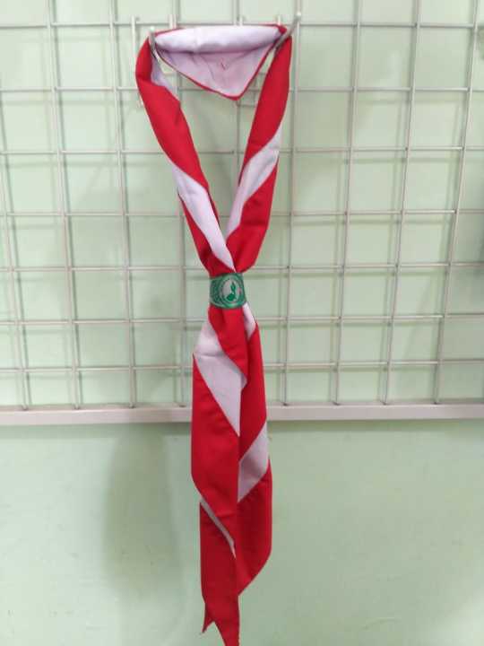 1 set Ring dan Kacu Pramuka Hasduk Pramuka Dasi Pramuka SD Siaga ...