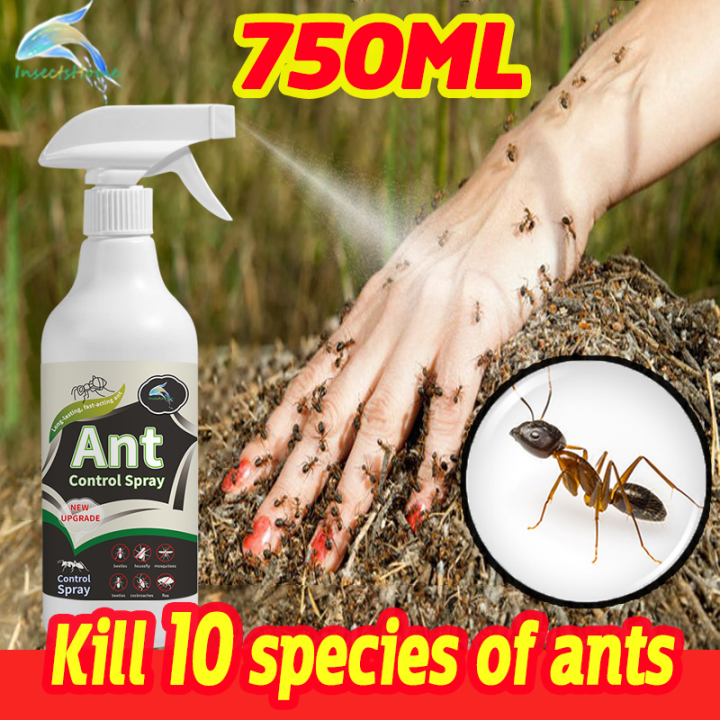 Ants Spray Killer 750ml Pesticides For Plants Non-Toxic One Spray Will ...
