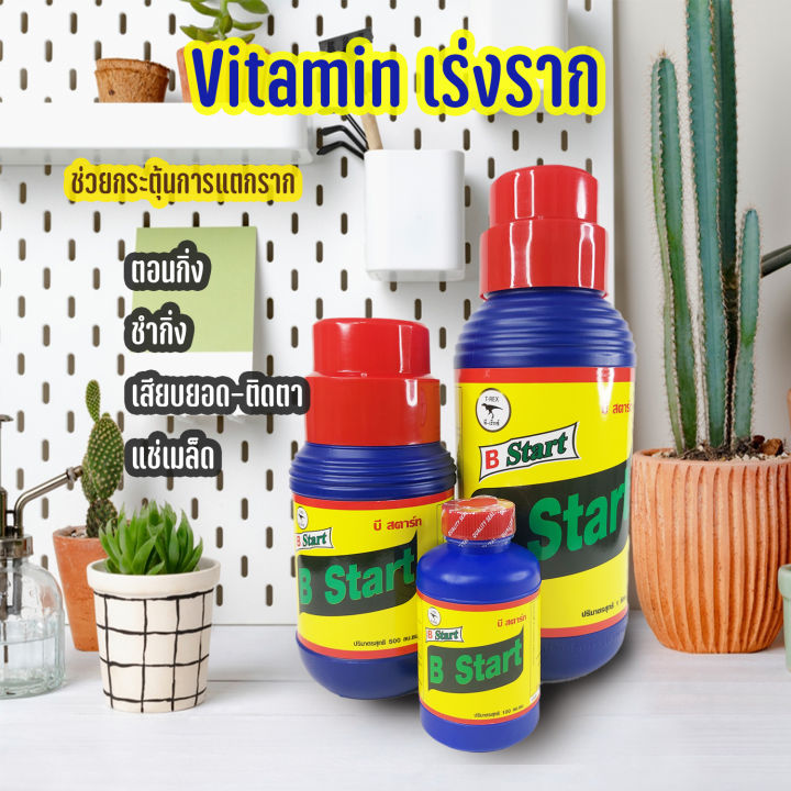 ส่งใว B1 B start Vitamin เร่งการผสมเกษร+แตกรากเร็ว+เยอะ แก้ปัญหาย้ายไม้ ...