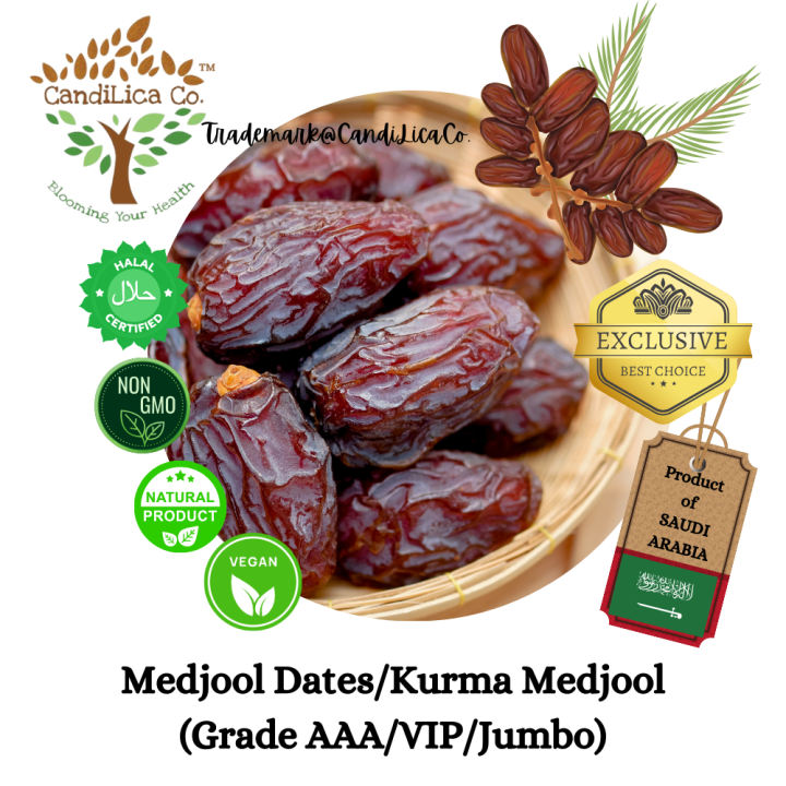 Kurma Medjool | Medjool Jumbo Dates Saudi | Grade AAA / VIP | CandiLica ...
