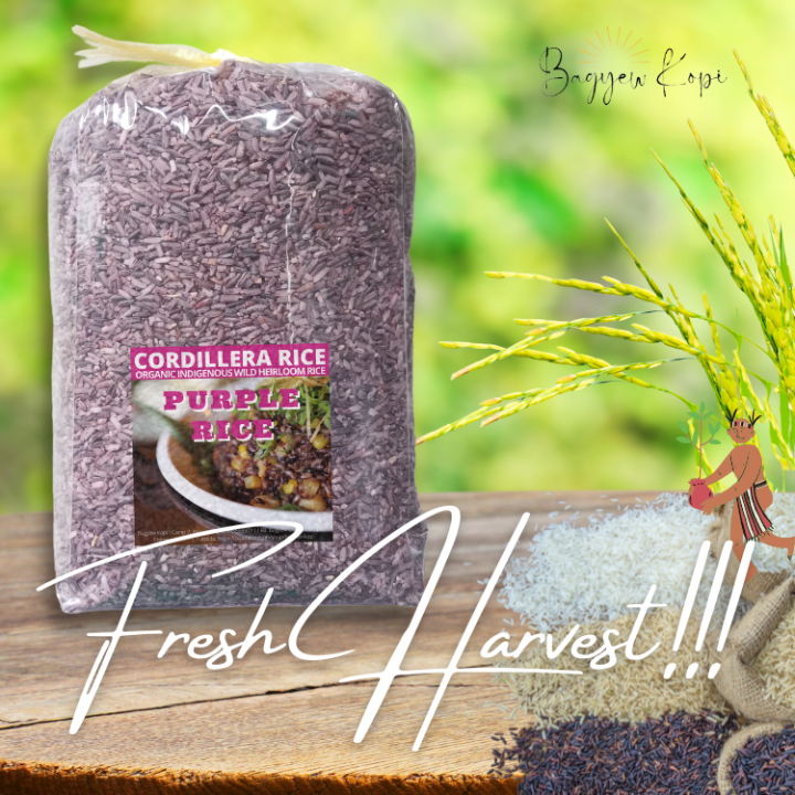 2.5kg Organic Mountain Heirloom Rice (Purple) | Lazada PH