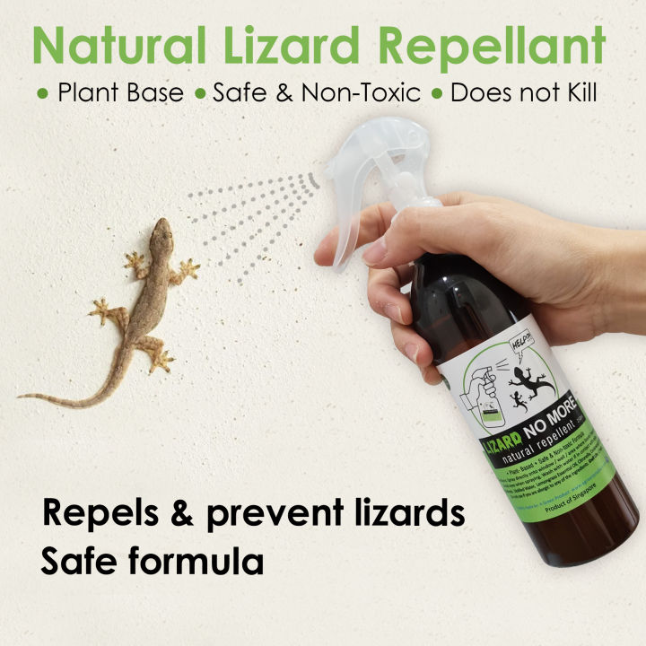 Natural Lizard Repellent Spray - Safe Plant-Based Solution for Pest ...