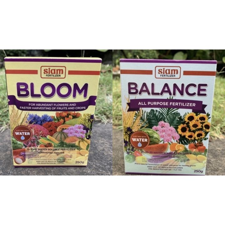 250 grams Siam Fertilizer 20-20-20 Balance Bloom | Lazada PH
