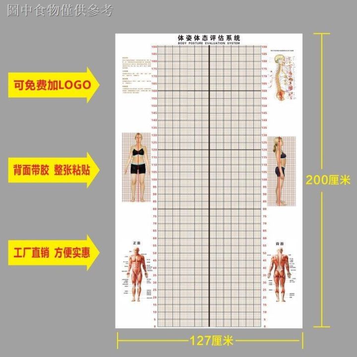 【SA wallpaper】 ((Posture Assessment Sheet) Wall Sticker, Gym Posture ...