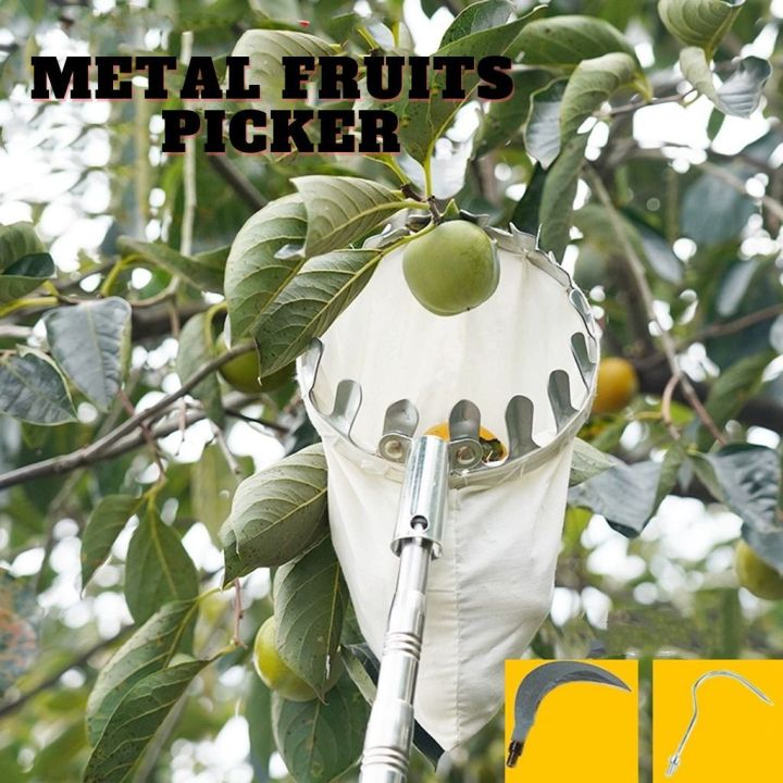 Alat Petik Buah/Fruit Picker/Fruit Picking Equipment/Metal Fruits ...