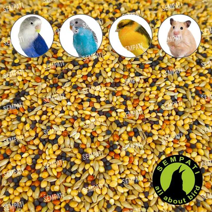 MILET/ PAKAN BURUNG /MAKANAN BURUNG / MILET PAKAN BURUNG /MILET 1 KG ...
