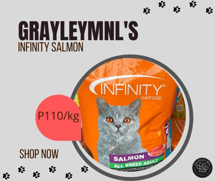 Infinity Salmon Cat Food - 1KG Repacked | Lazada PH